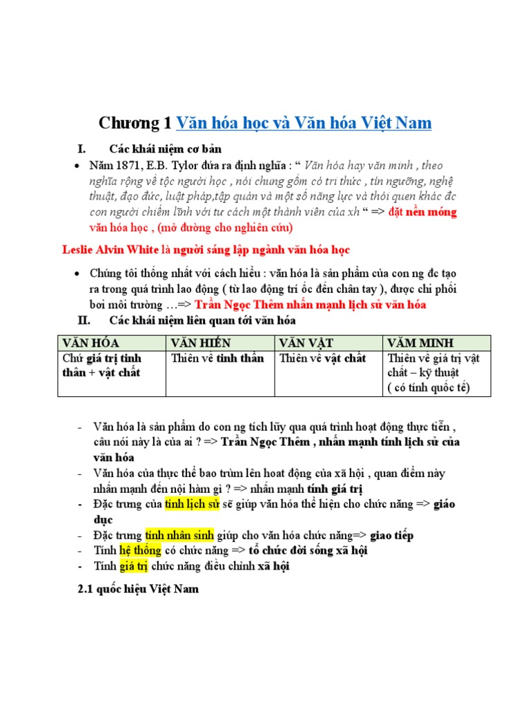 Đê Cương CSVHVN | PDF