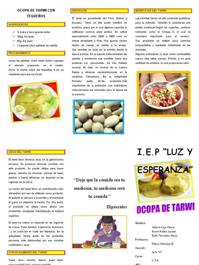 OCOPA DE TARWI CON TEQUEÑOS Triptico | PDF