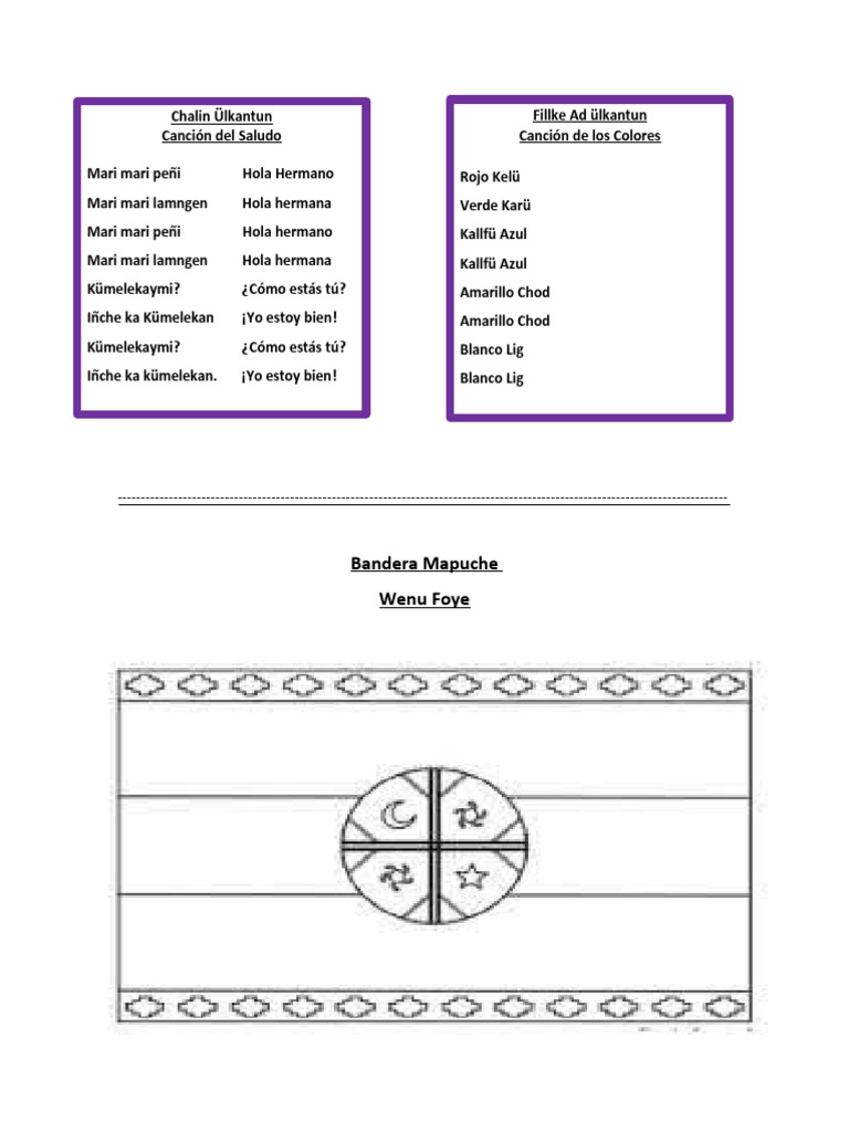 Bandera Mapuche | PDF