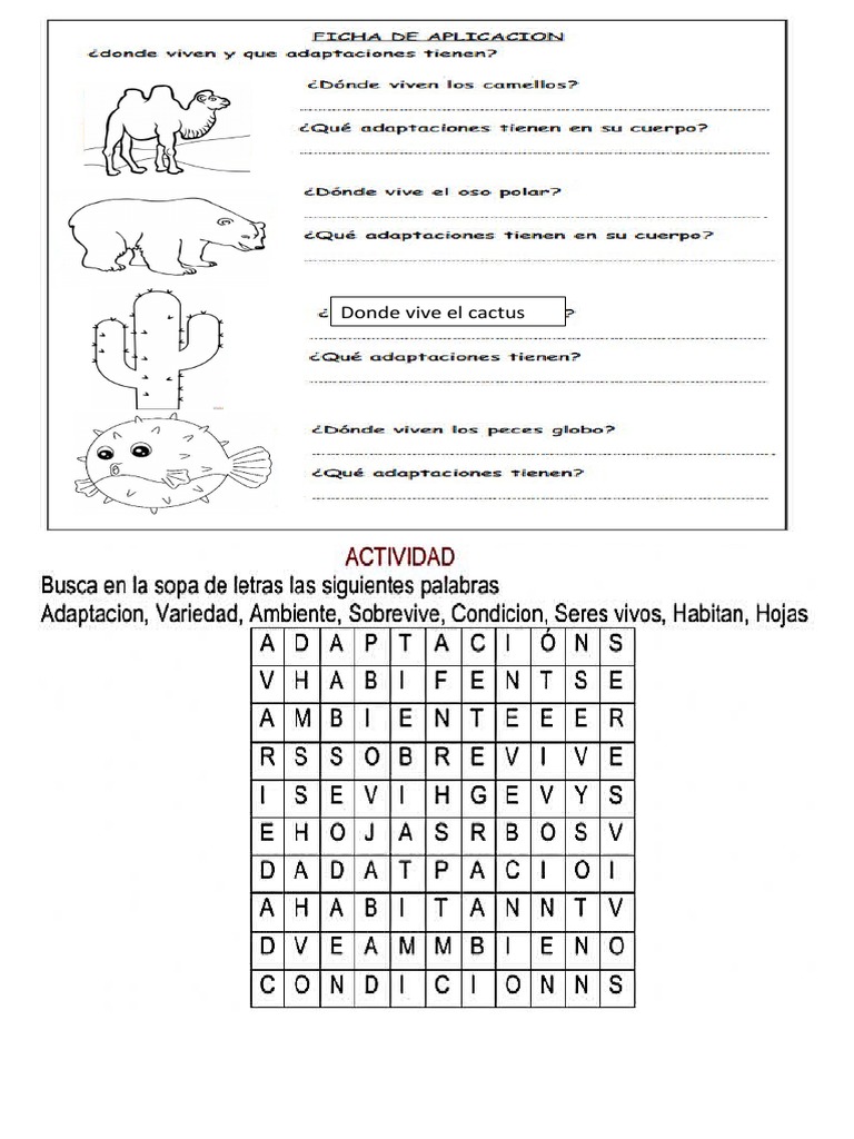 Adaptaciones Seres Vivos | PDF