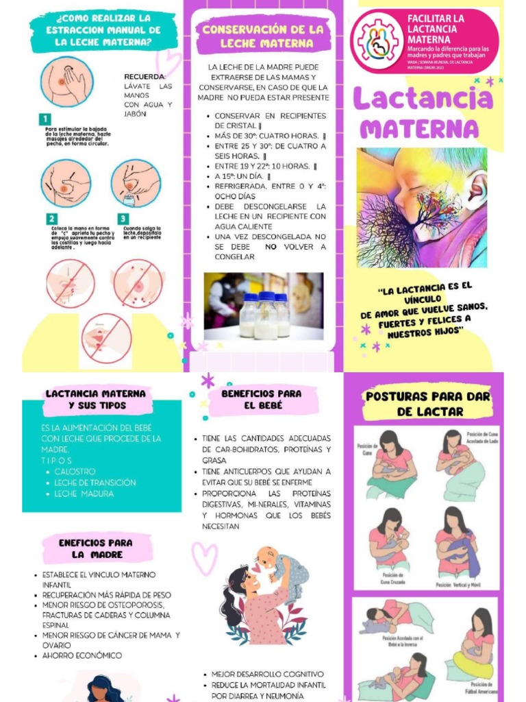 Folleto Lactancia Materna | PDF