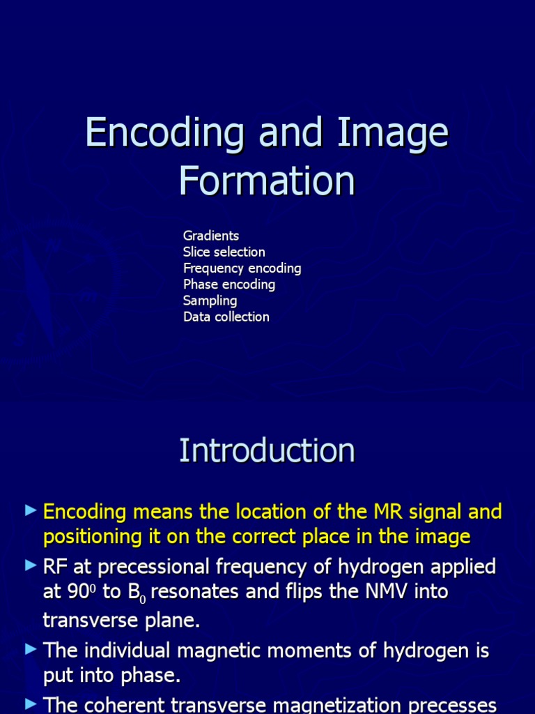Magnetic Resonance Imaging 5 Encoding and Image Formation | PDF | Science & Mathematics