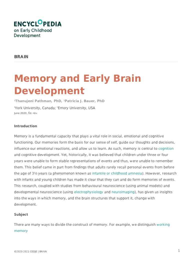 Memory and Early Brain Development | PDF
