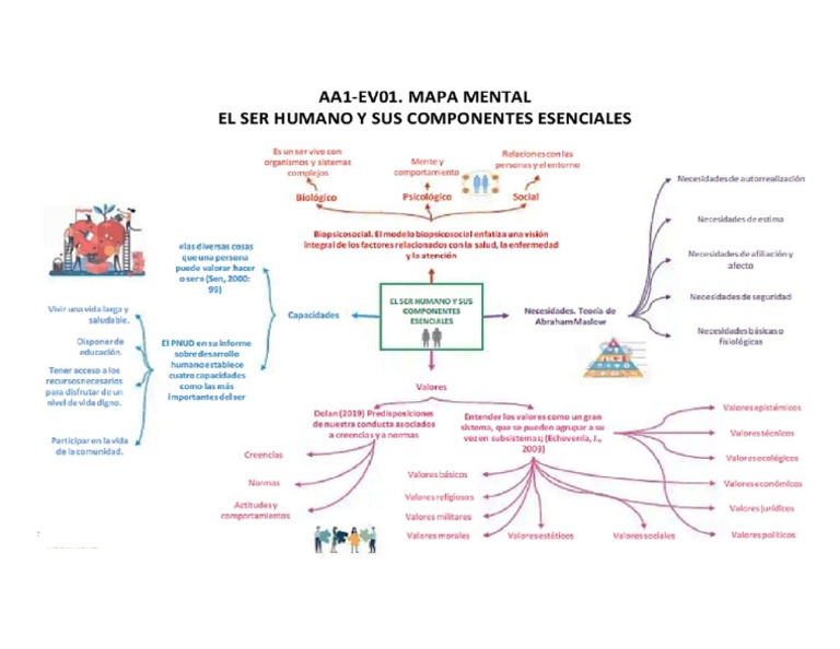 Aa1 Ev01 Mapa Mental El Ser Humano Y Sus Componentes Esenciales Vflc