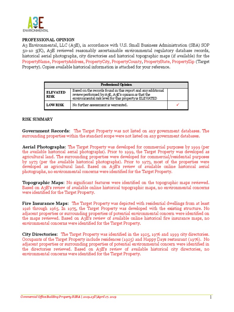 SBA RSRA Template Download | PDF