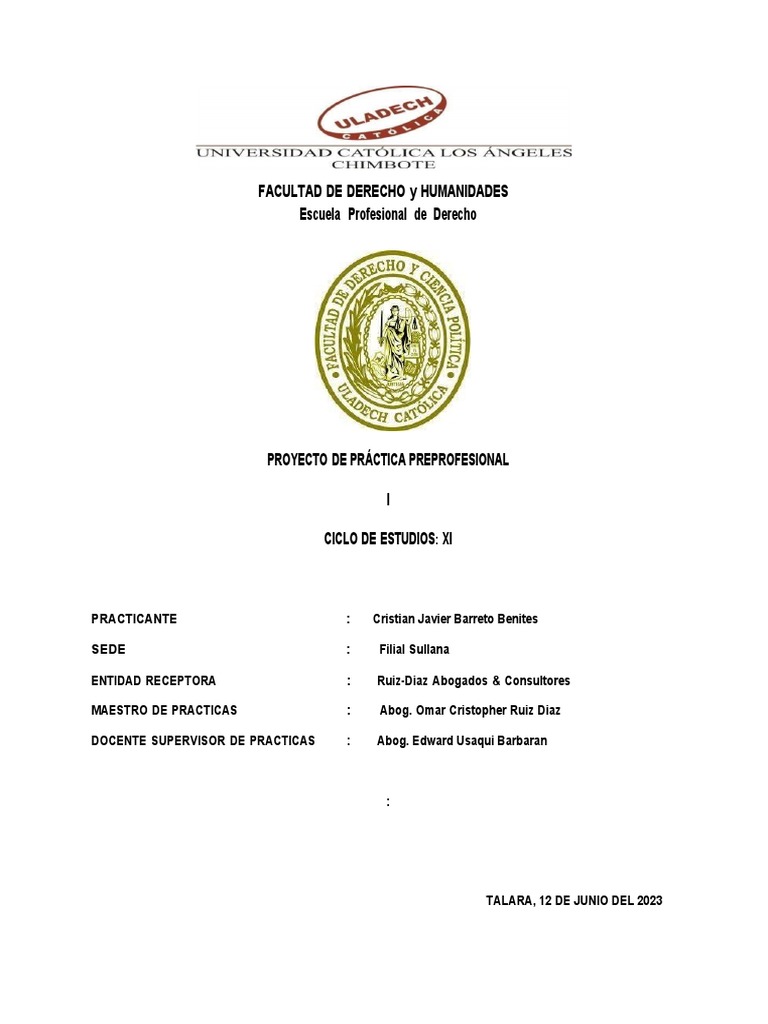 Informe de Práctica Preprofesional | PDF | Derecho
