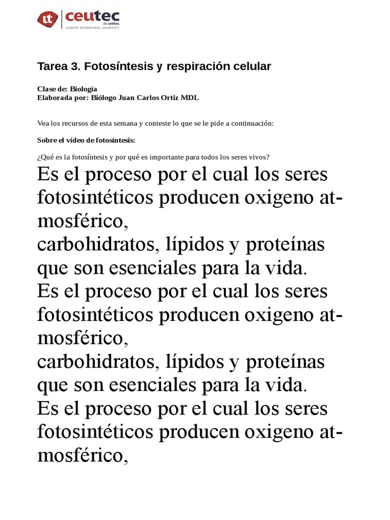 Tarea 3. Fotosintesis y Respiracion Celular | PDF | Respiración celular ...