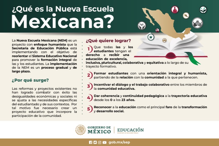 Que Es La NEM - (Infografia) | PDF