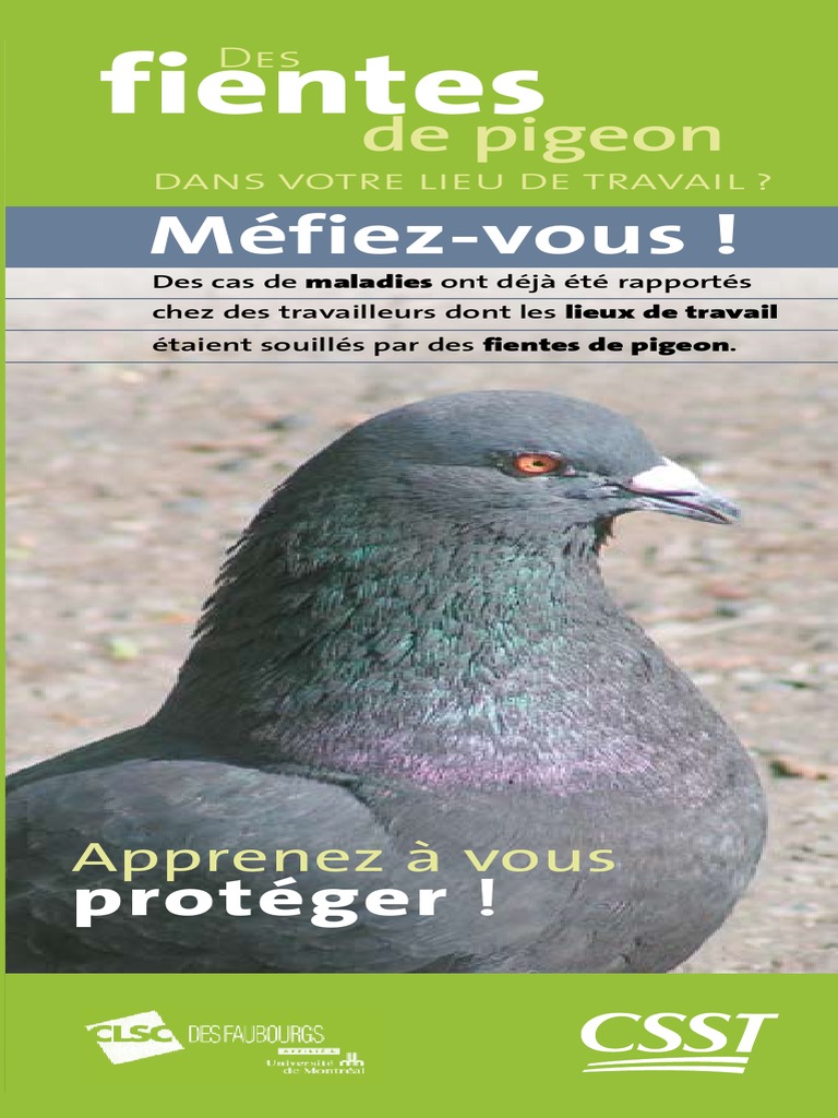 fientes-pigeons(1) | PDF
