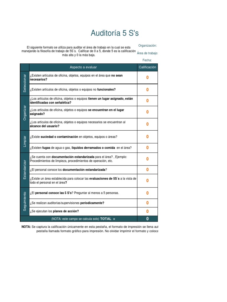 Auditoría 5S: Evaluación de Área de Trabajo | PDF
