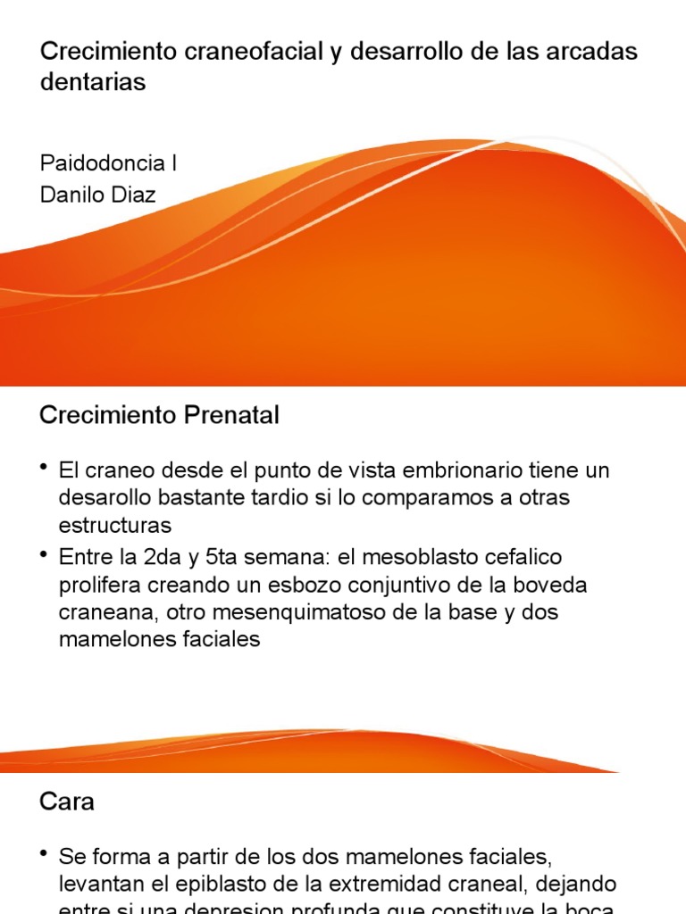 Crecimiento Craneofacial y Desarrollo de Las Arcadas Dentarias | PDF