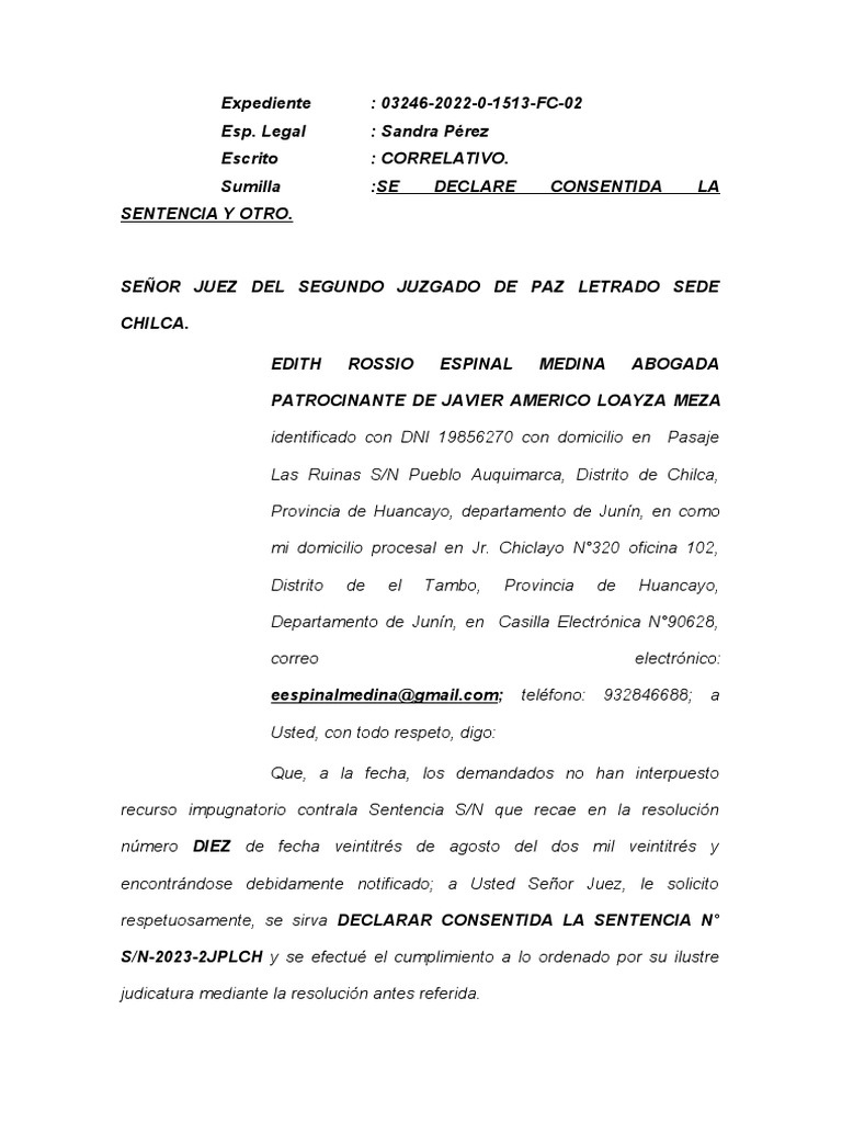 Se Declare Consentida La Sentencia - Javier Loayza Meza | PDF