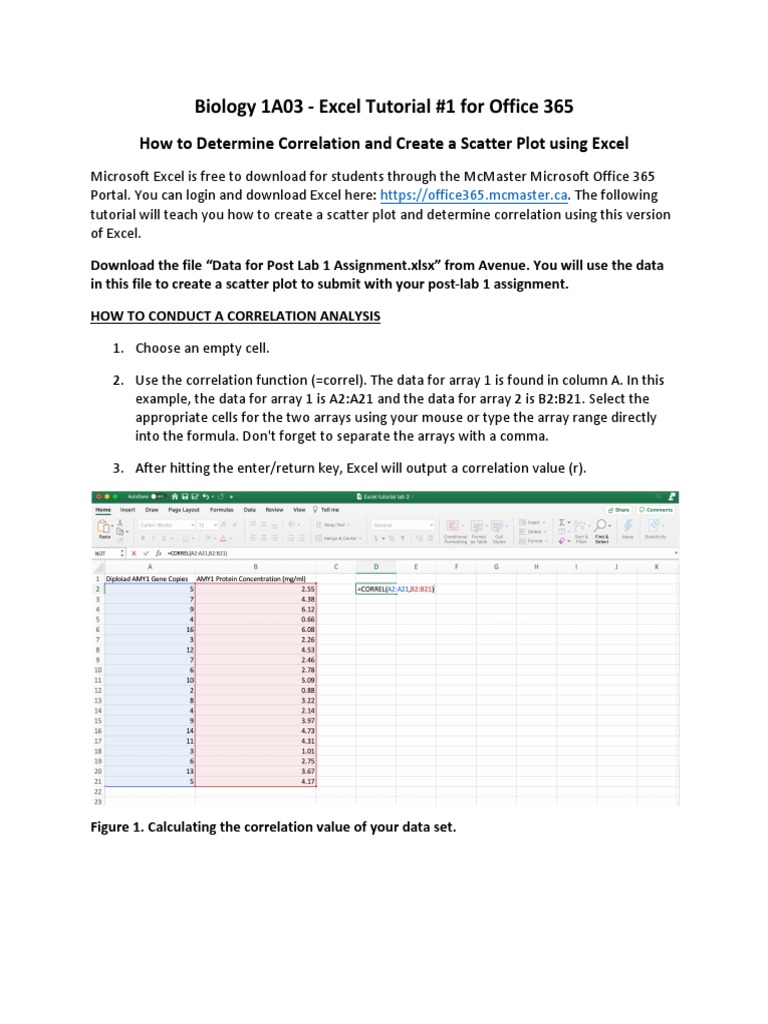 Excel Tutorial 1 | PDF
