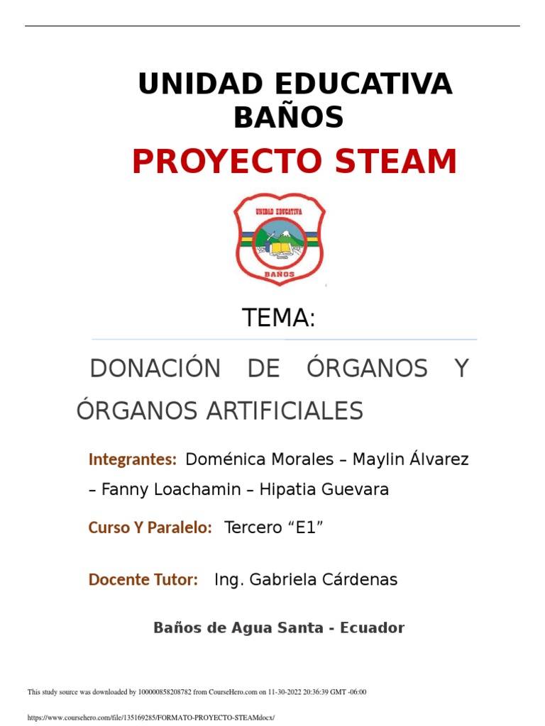 Formato Proyecto Steam | PDF