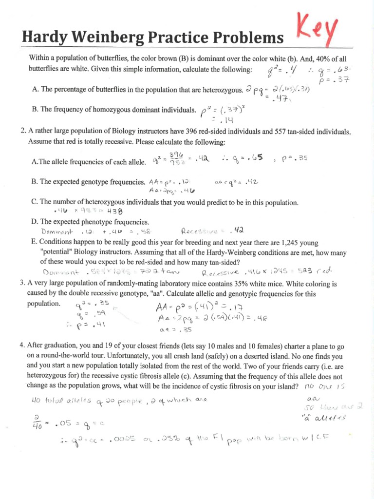 Evolution Hardy Weinberg 1 Answers | PDF