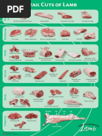 Chicken Cuts and Anatomy Guide | PDF | Chicken | Poultry