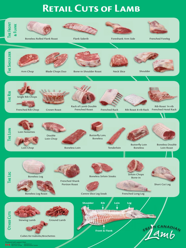 Lamb Cuts Poster-11X17 | PDF | Lamb And Mutton | Steak