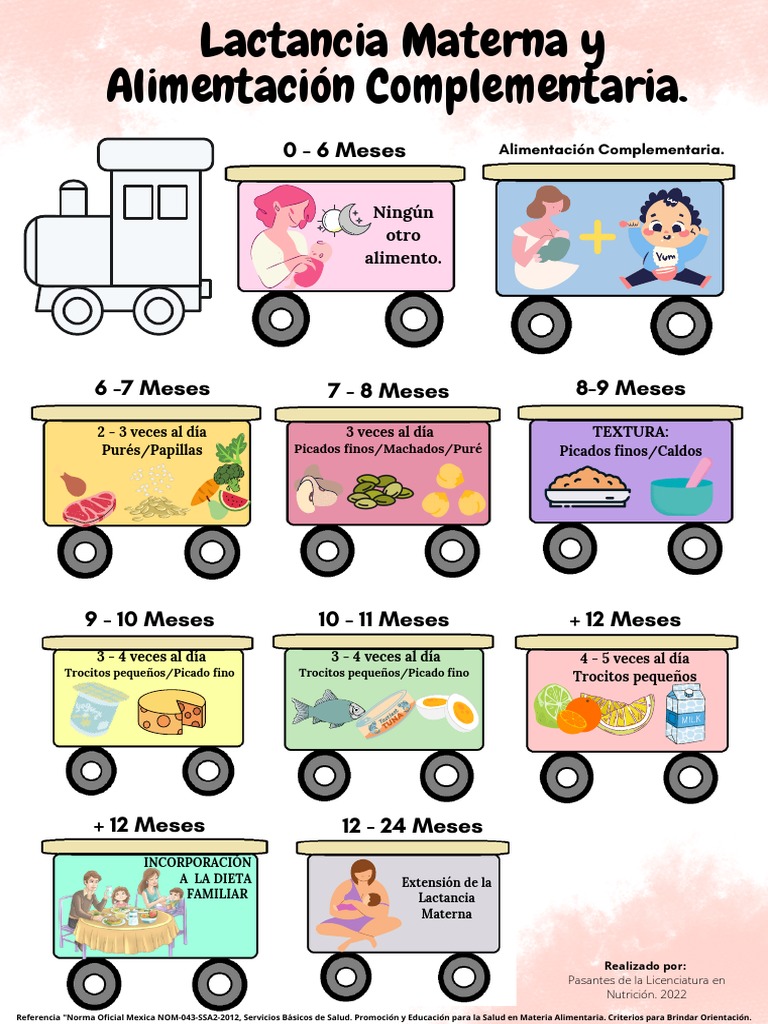 Alimentación Complementaria Cartel | PDF | Salud pública | Nutrición