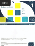 Wisc V Protocolo | PDF