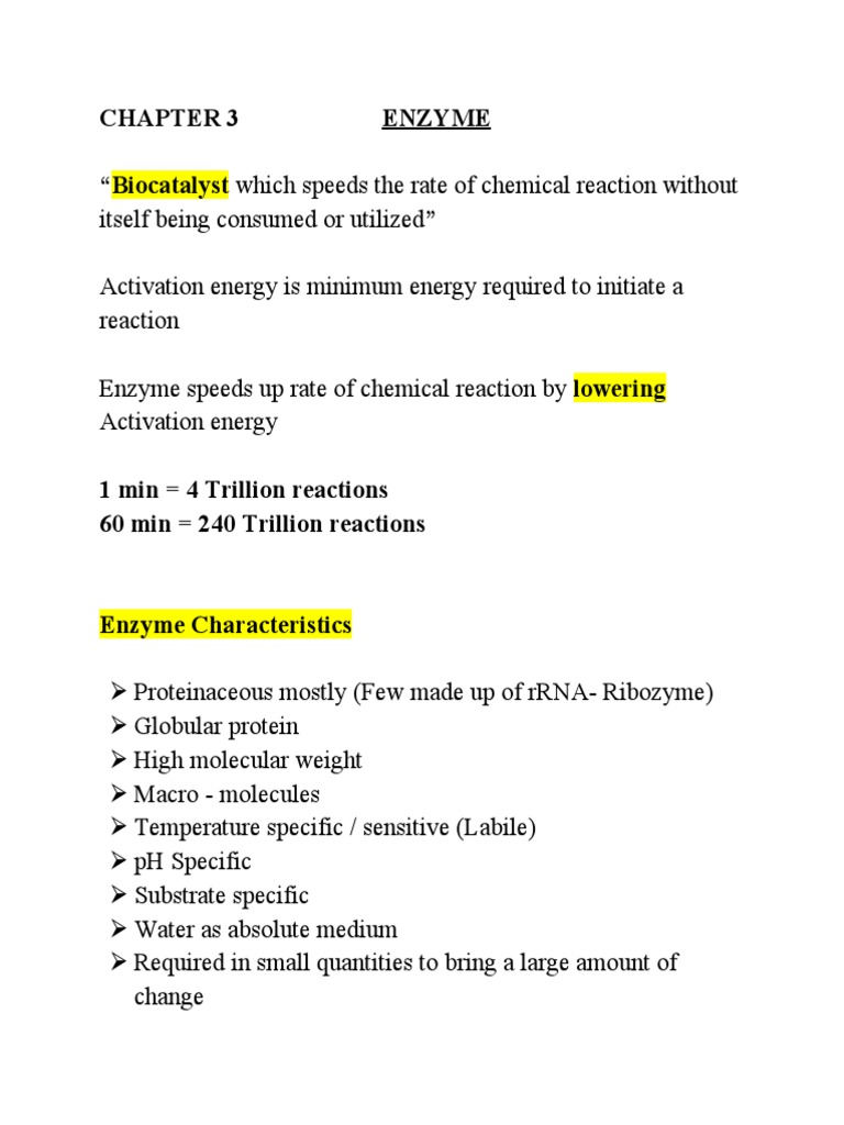 Enzymes Notes For Mdcat | PDF