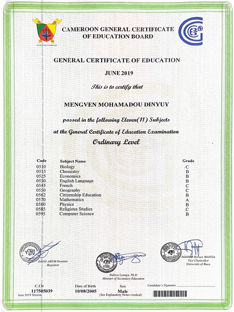 O Level Certificate | PDF