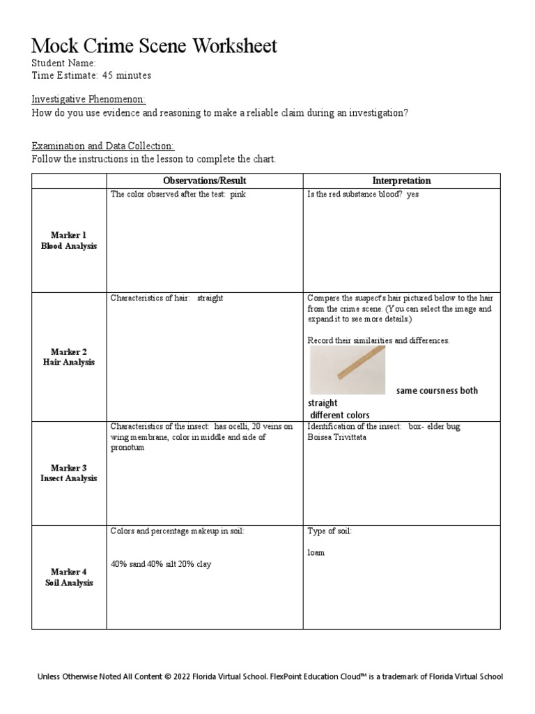 02 07 Mock Crime Scene Worksheet | Download Free PDF | Crime Scene ...