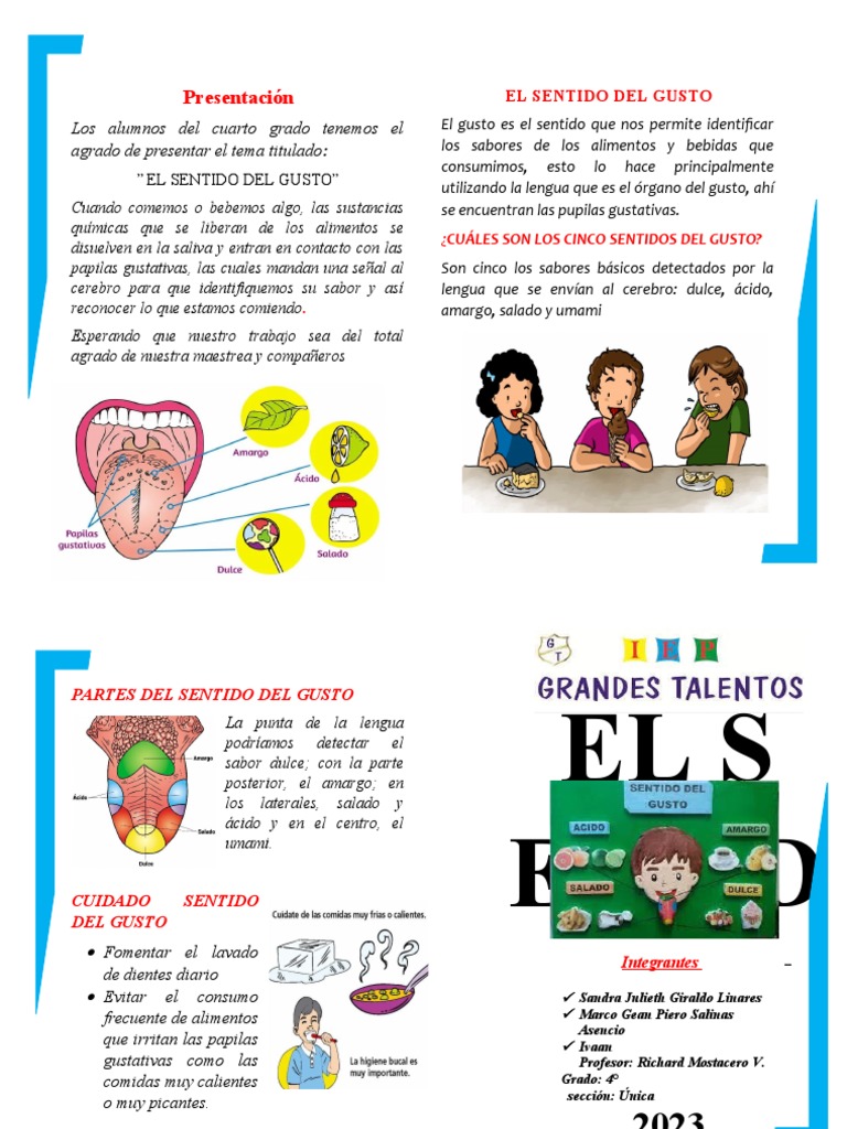El Sentido Del Gusto | PDF