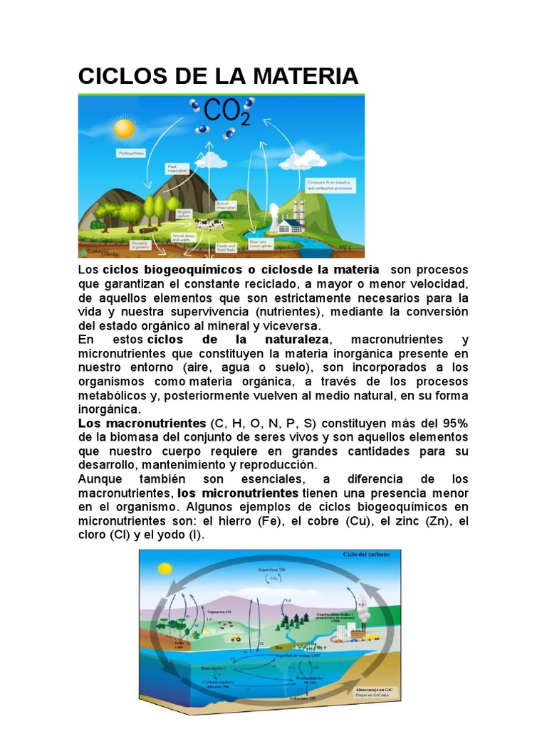 Ciclos de La Materia | PDF