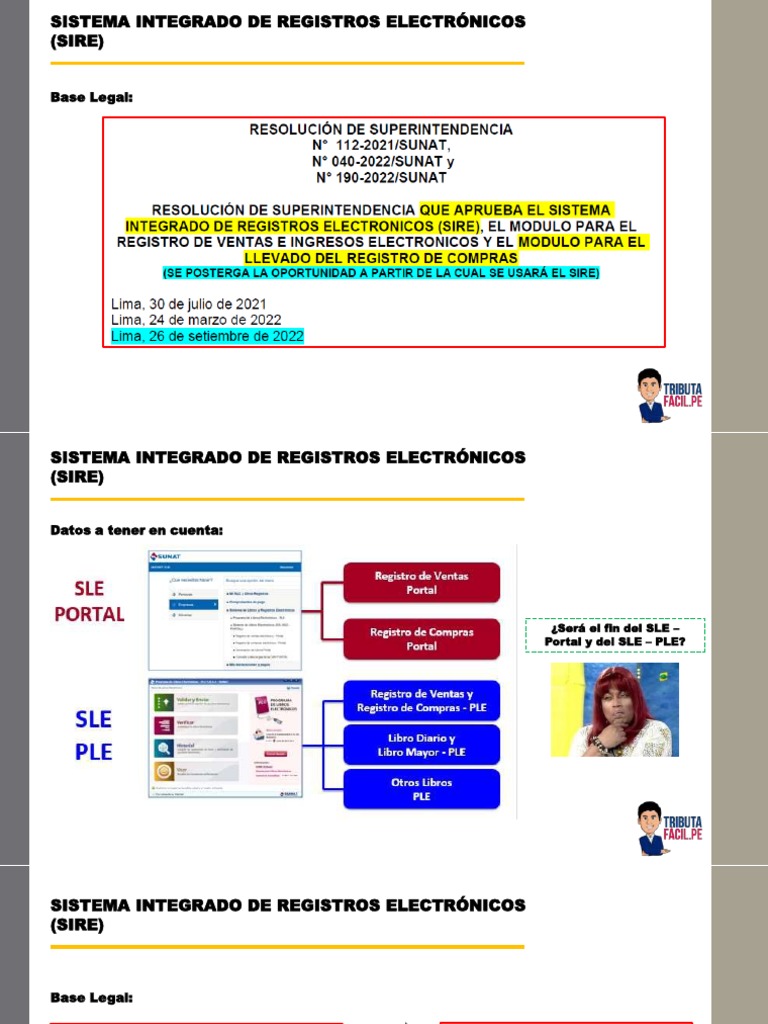 1ra Parte - SIRE | PDF | Informática | Tecnologías de la información