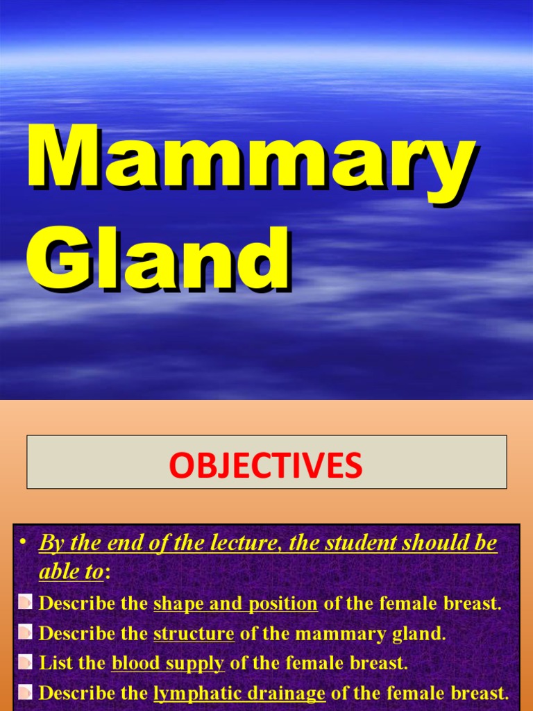 Breast (Mamma) | PDF | Breast | Nipple