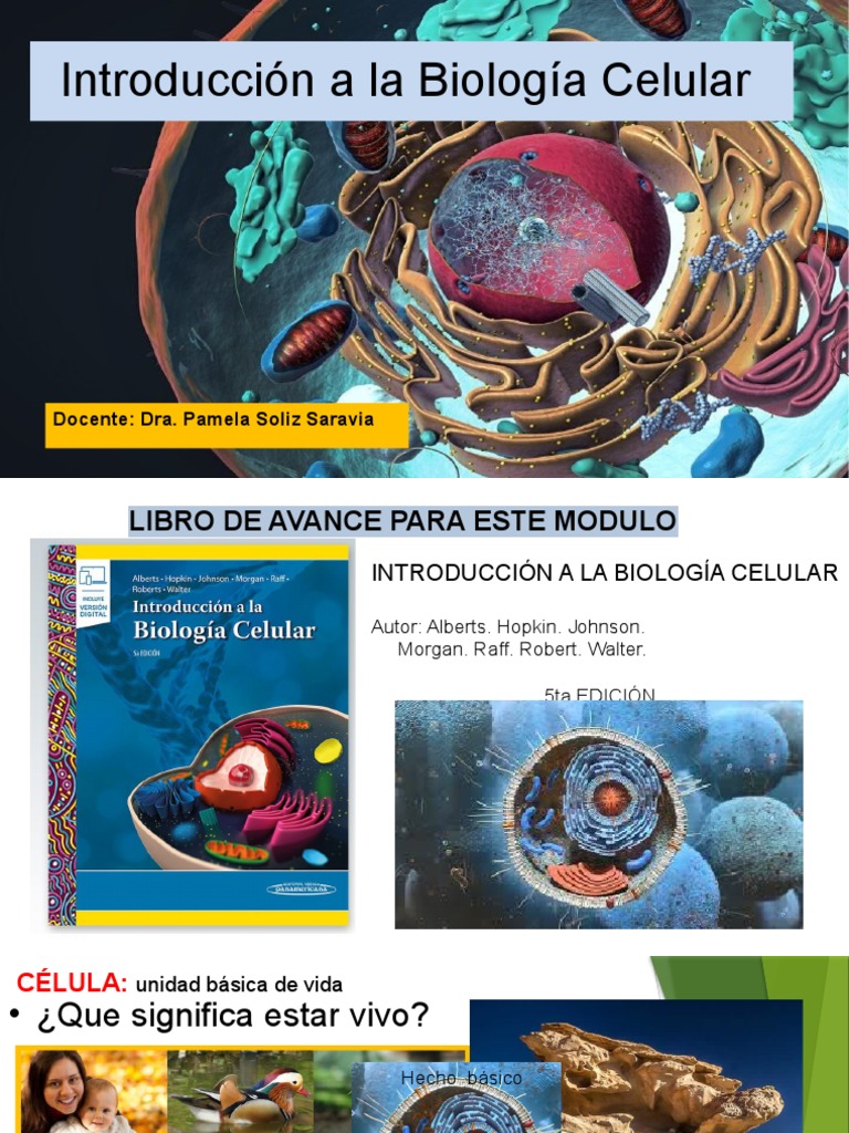 Introduccion A La Biologia Celular 2 | PDF | Genoma | Biología Celular)