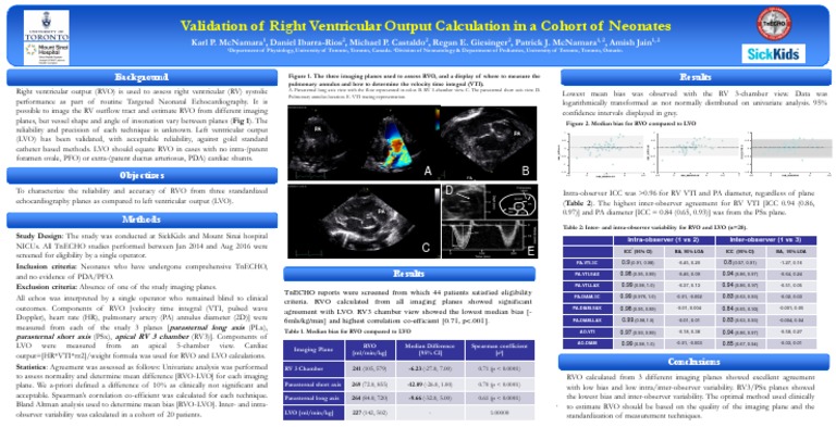 Karl McNamara POSTER FINAL KPM | PDF