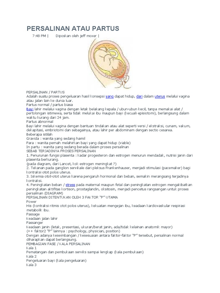 Persalinan Atau Partus | PDF
