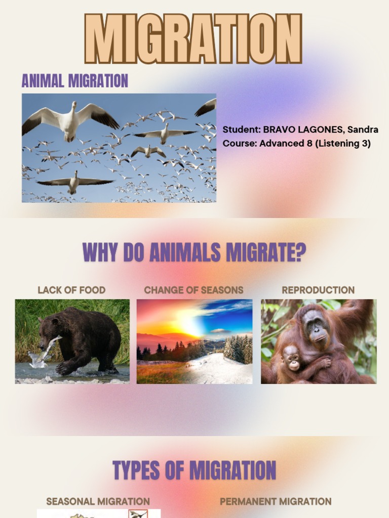 Advanced 8 Project ICPNA | PDF