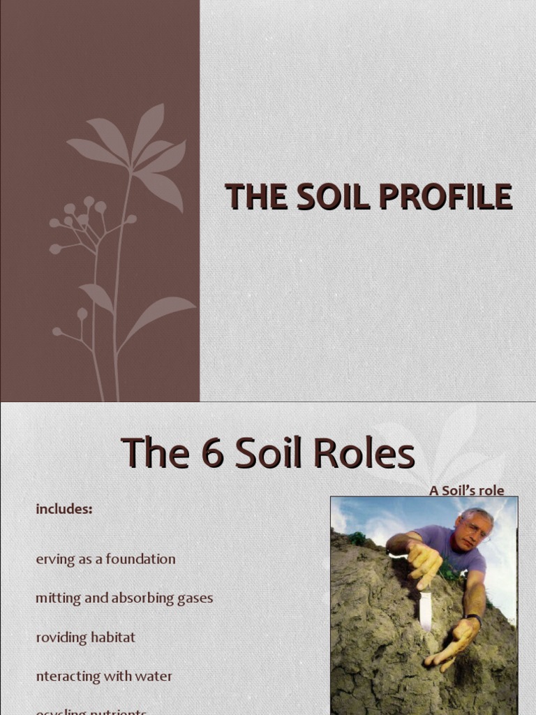 Soil Profile | PDF | Soil | Horticulture
