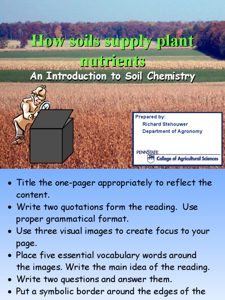 Introduction To Soil Chemistry | PDF