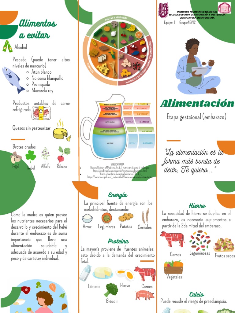 Tríptico de Alimentación | PDF