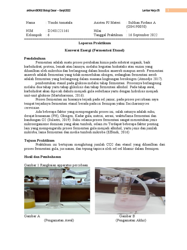 Yondri Tomatala - D2401221161 - Praktikum Bio Fermentasi | PDF