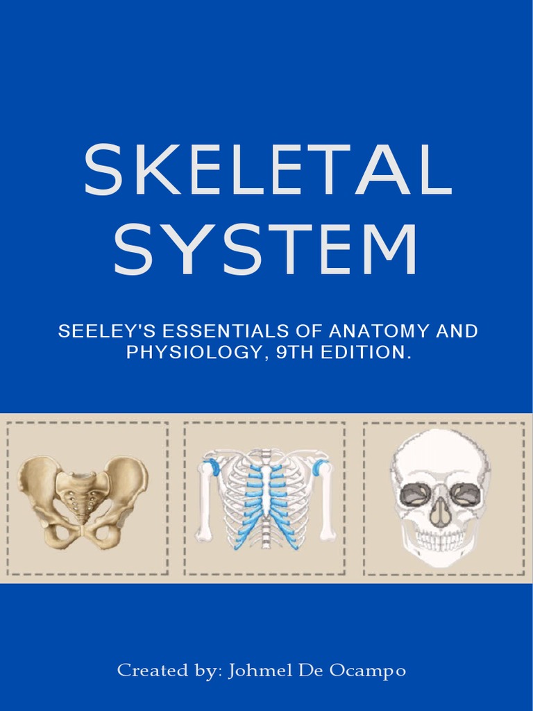 Overview of the Skeletal System | PDF | Bone | Anatomical Terms Of Motion