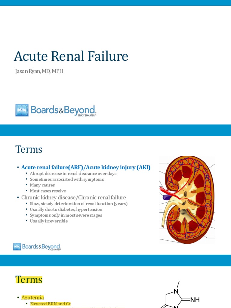 Understanding Acute Renal Failure | PDF | Kidney | Abdomen
