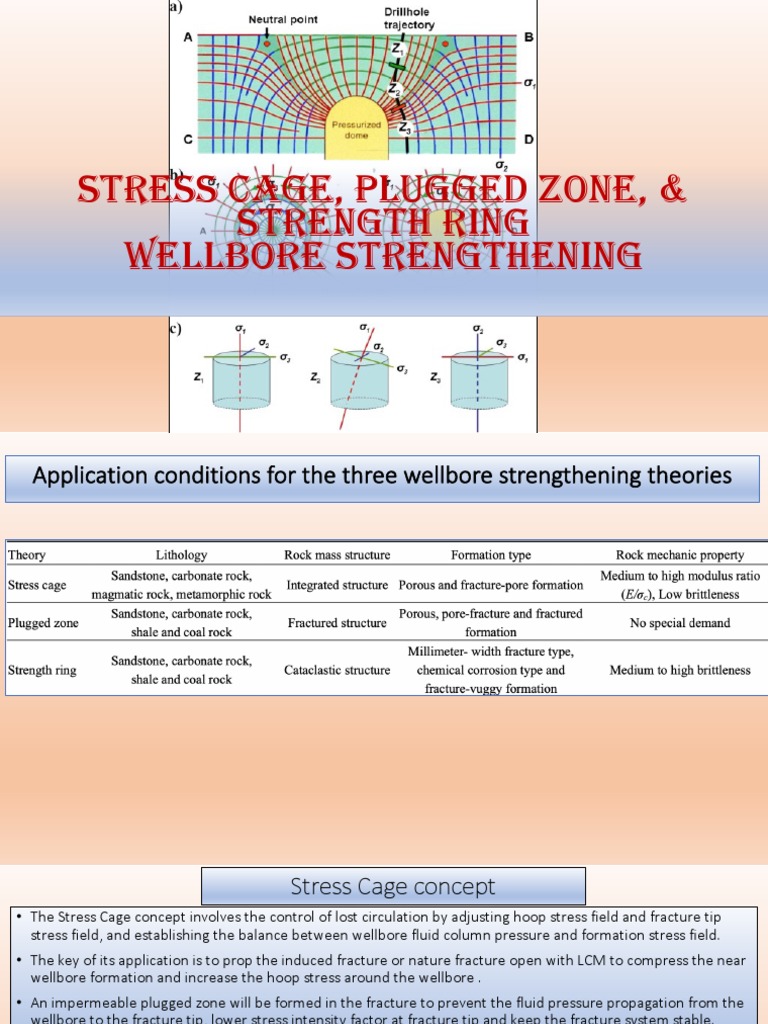 Stress Cage | PDF | Strength Of Materials | Fracture