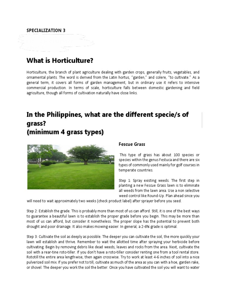 Different Species of Grass Found in The Philippines | PDF