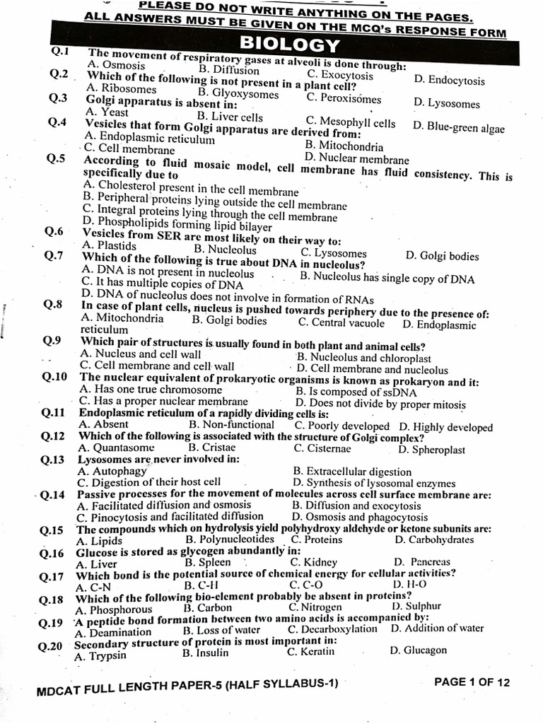 FLP 1 KIPS Half Book 2023 + Key | PDF