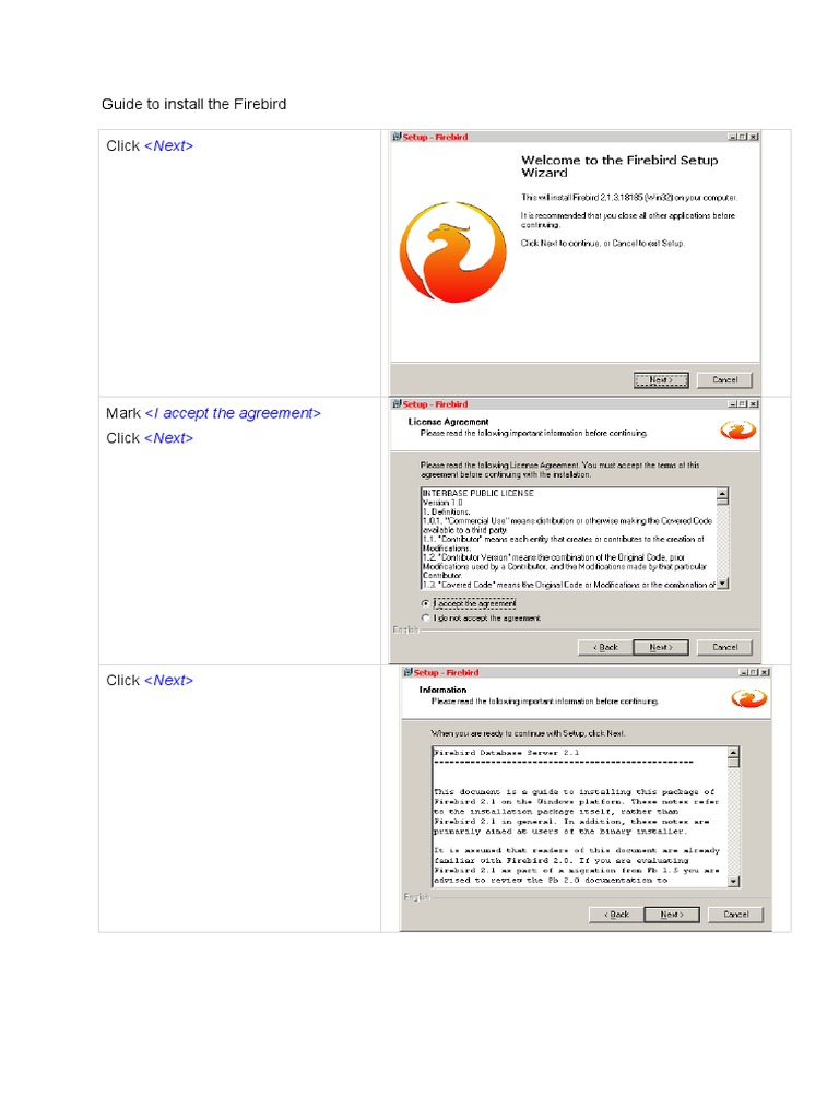 Guide To Install The Firebird | PDF