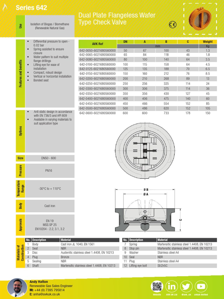 642 Check Valve | PDF