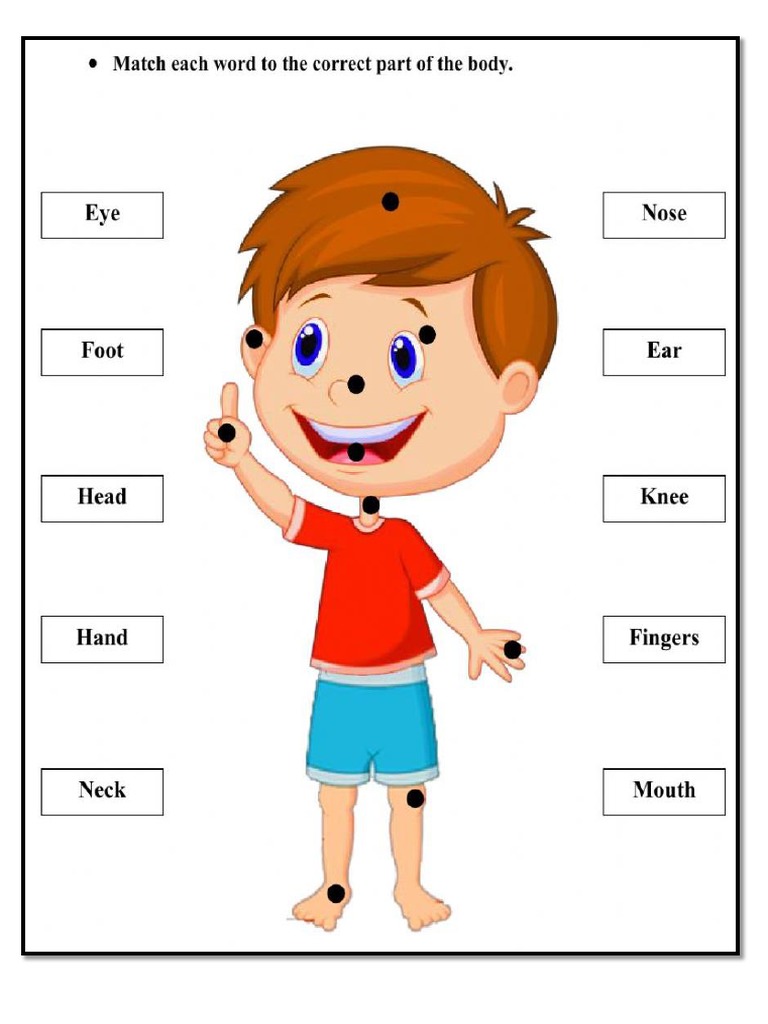 Label Body | PDF