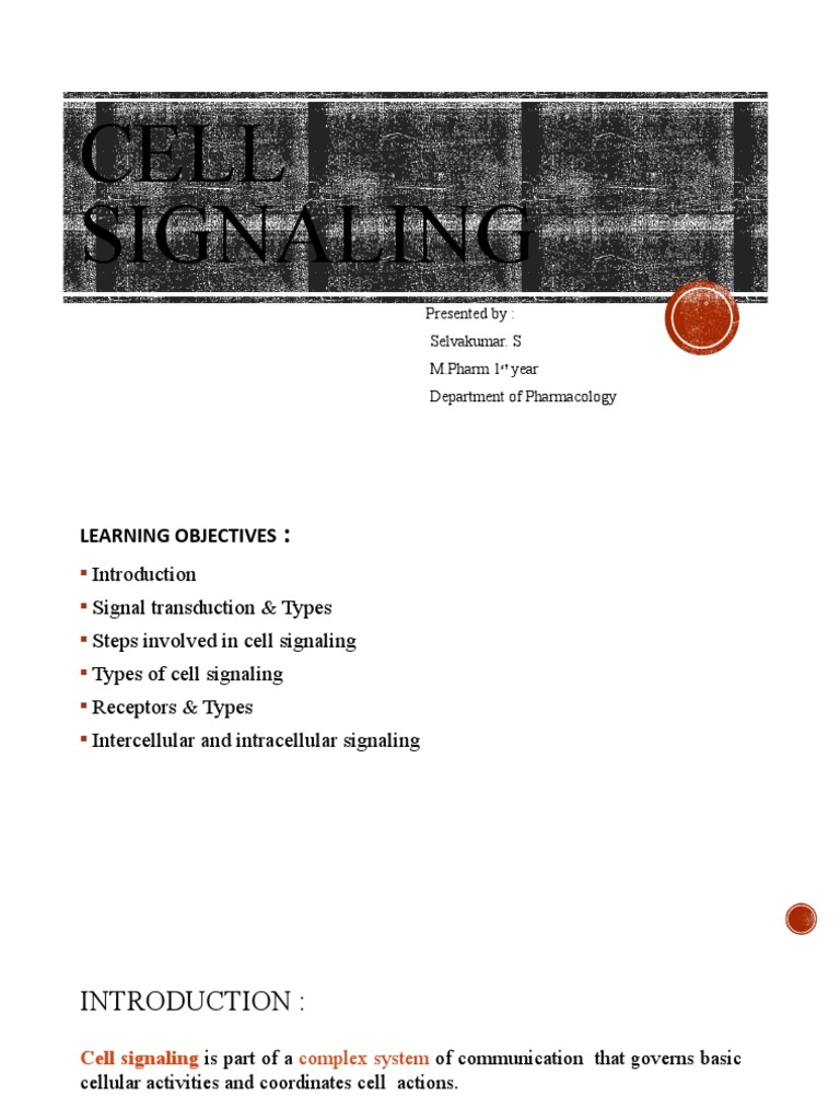 Selva Cell Signal | PDF