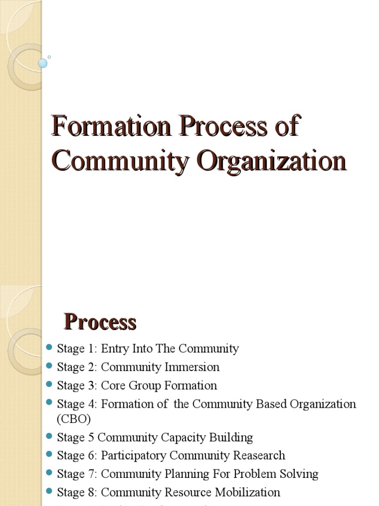 Community Organizing Process | PDF
