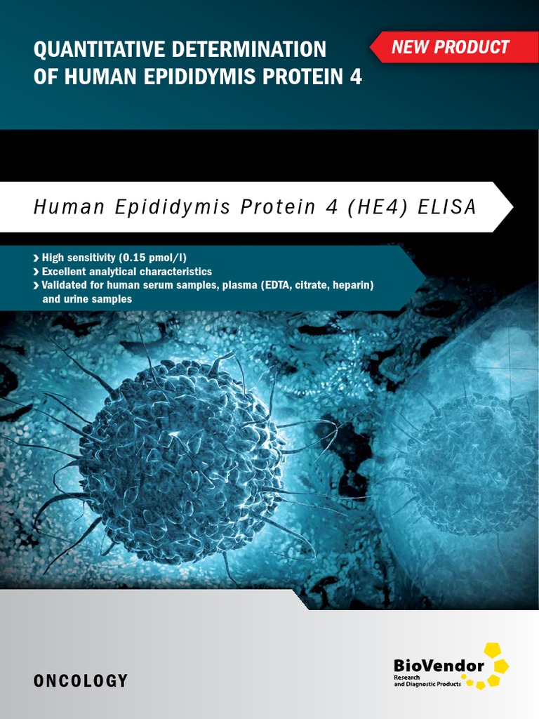 Bio Vendor Human Epididymis Protein 4 (HE4) - ELISA - August 2016 | PDF ...