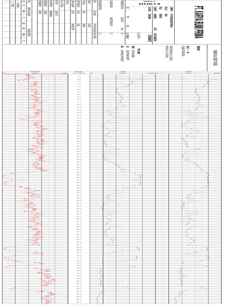 Gamma Dual Density Sonde Report | PDF